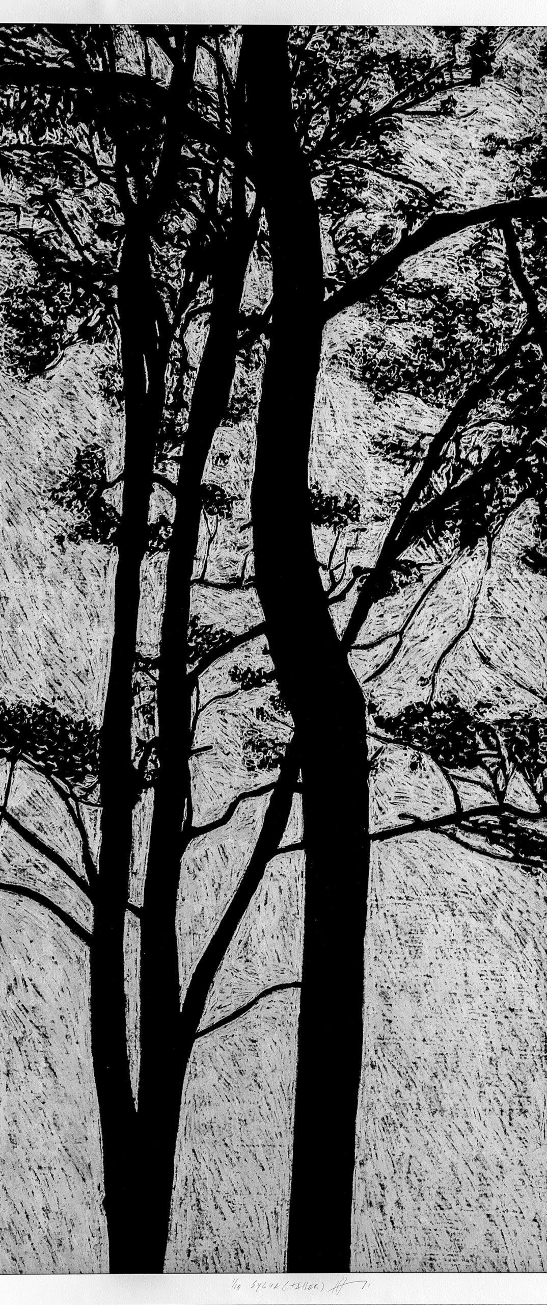 Fomento Cultural Banamex Exposiciones | Atlas. Jan Hendrix